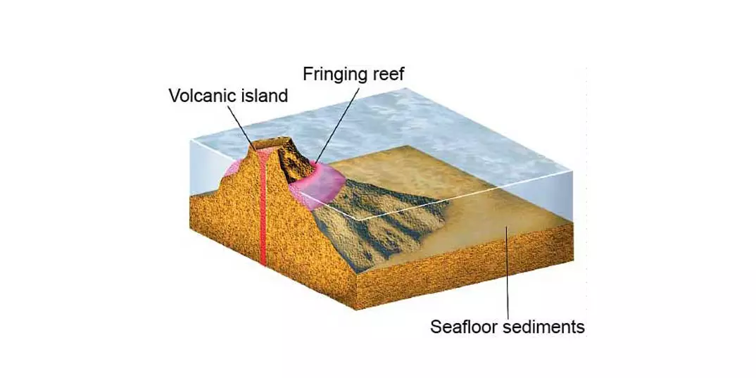 A Complete Guide to Limestone Tiles